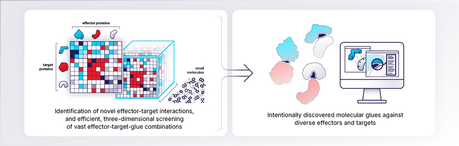 Applications | A-Alpha Bio