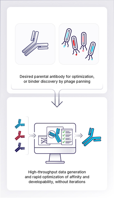 Applications | A-Alpha Bio