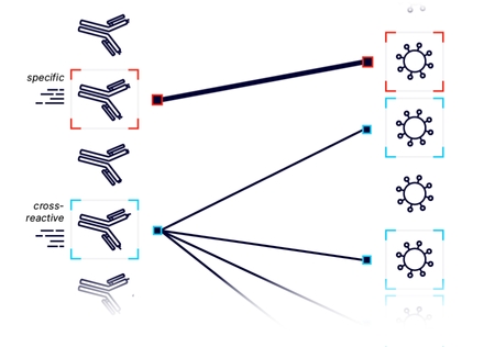 Our Technology | A-Alpha Bio